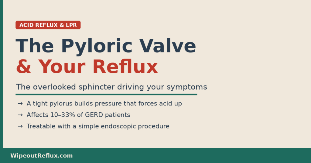 Pyloric Valve and Acid Reflux: The Hidden Sphincter Behind Your Symptoms
